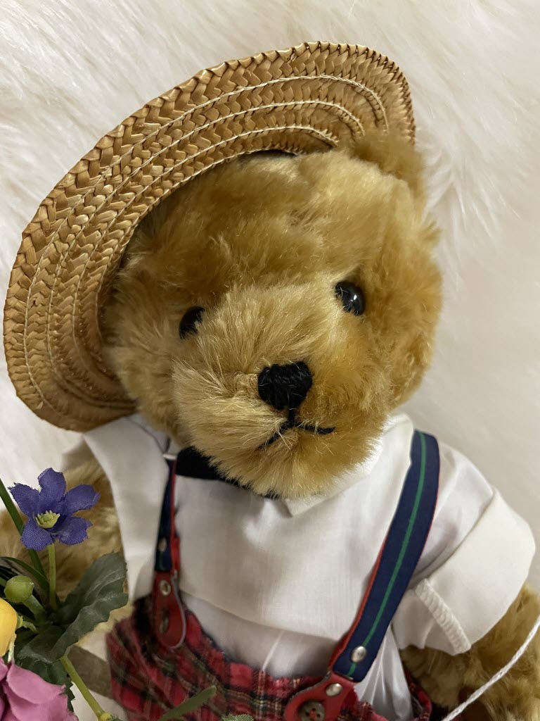 Hermann Teddy Beren en Dieren